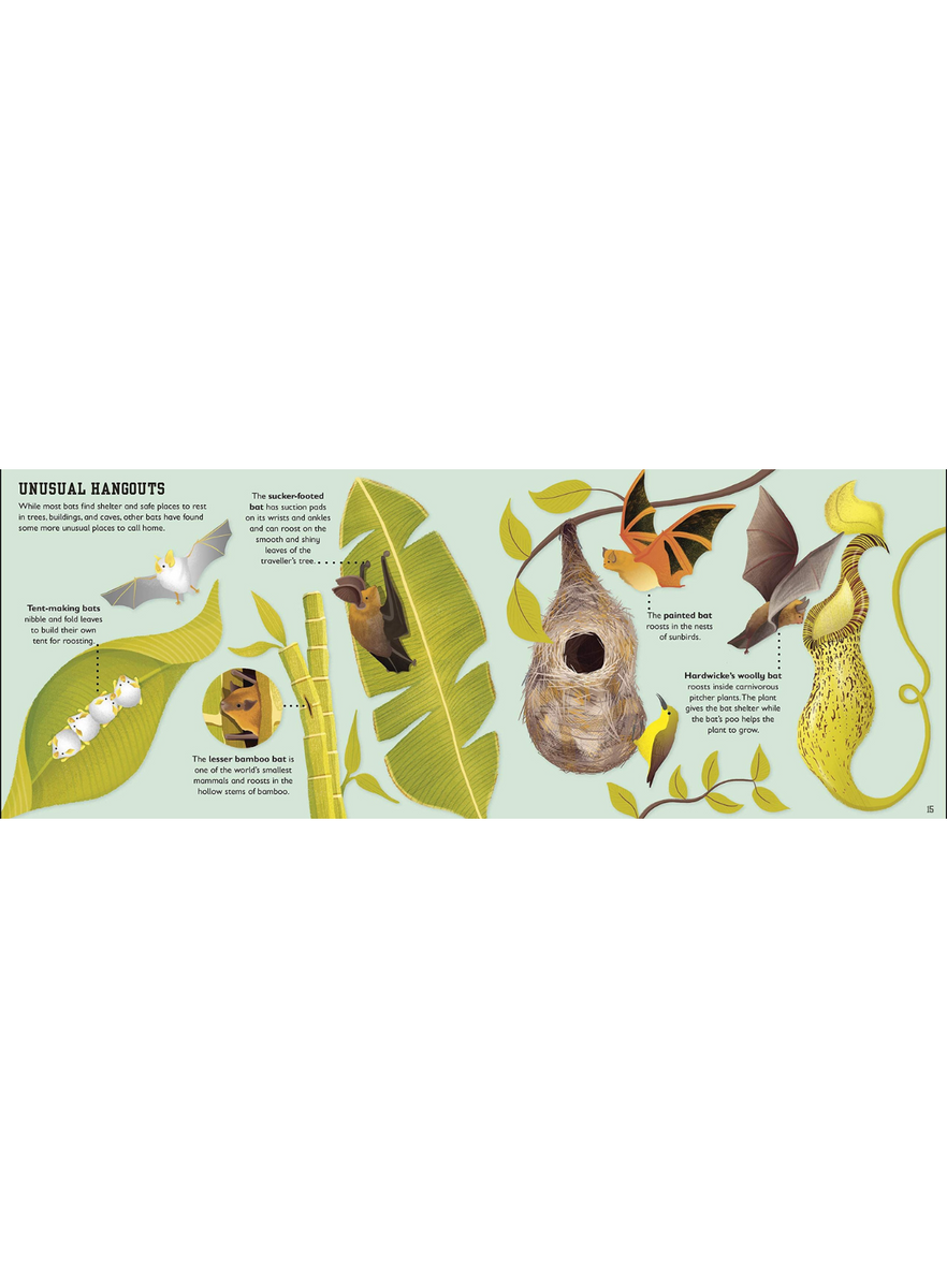 The Bat Book – Nomad and the bowerbird & Bringing the outside in